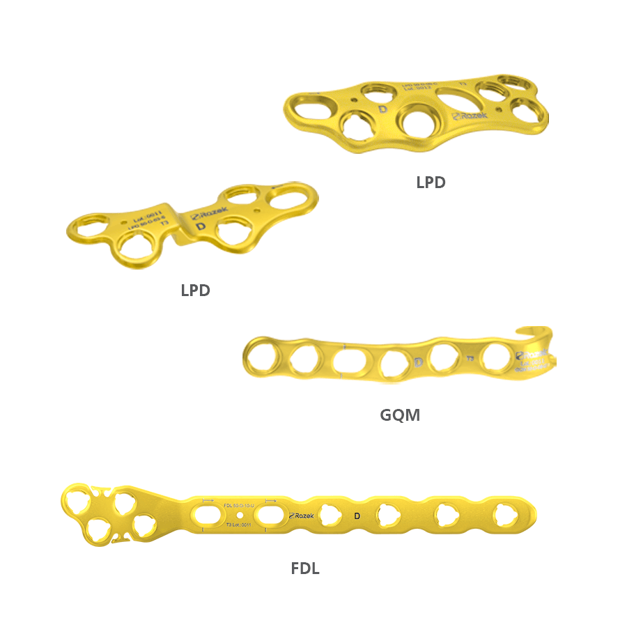 Sistema de Placas de Fixação Rígida Feet RZ - Razek | São Carlos